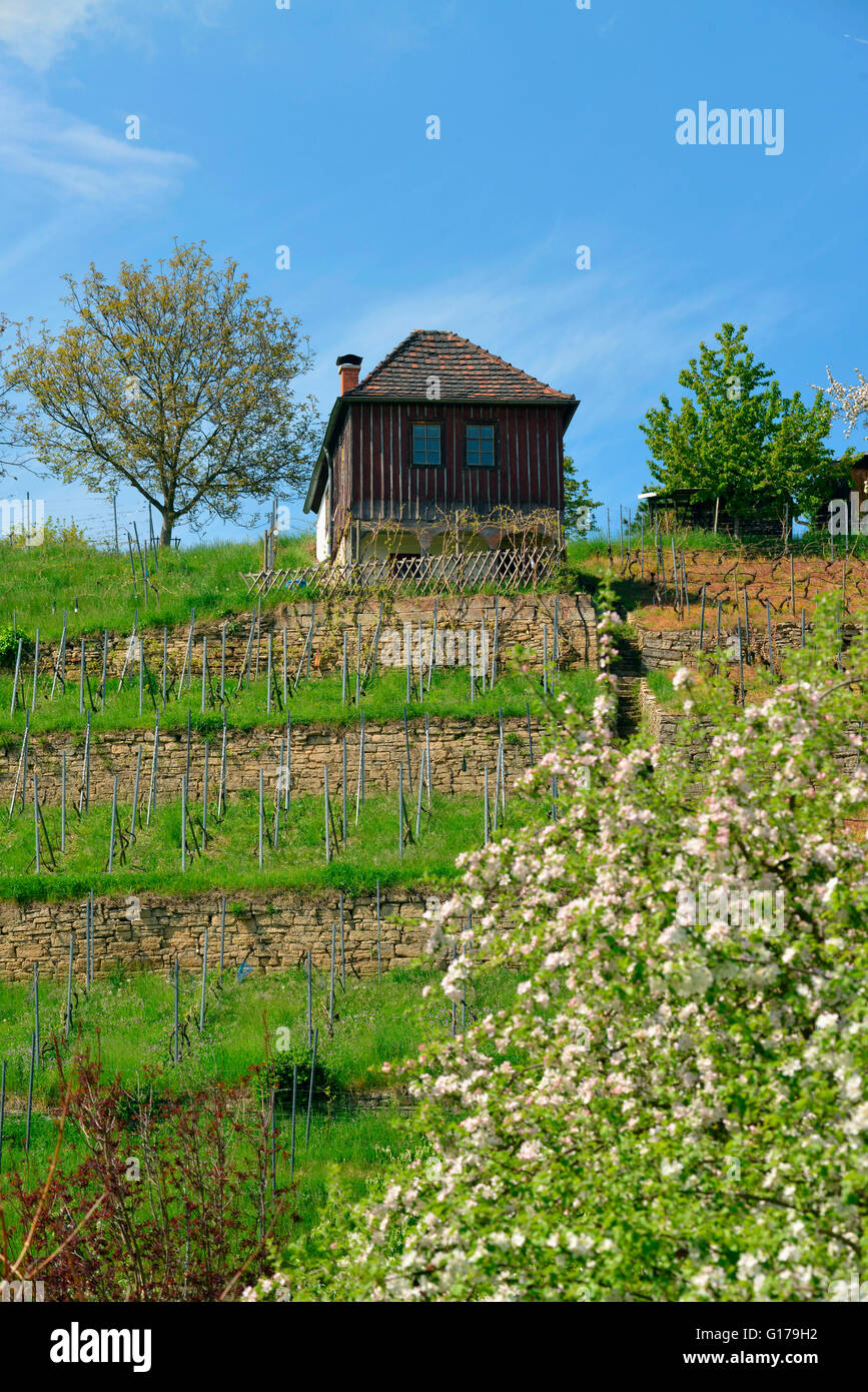 Rossbach hi-res stock photography and images - Alamy