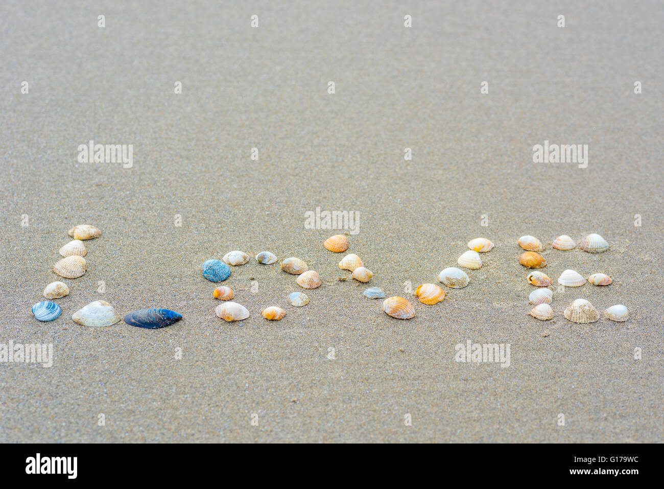 Seashells on the beach spelling out love Stock Photo - Alamy