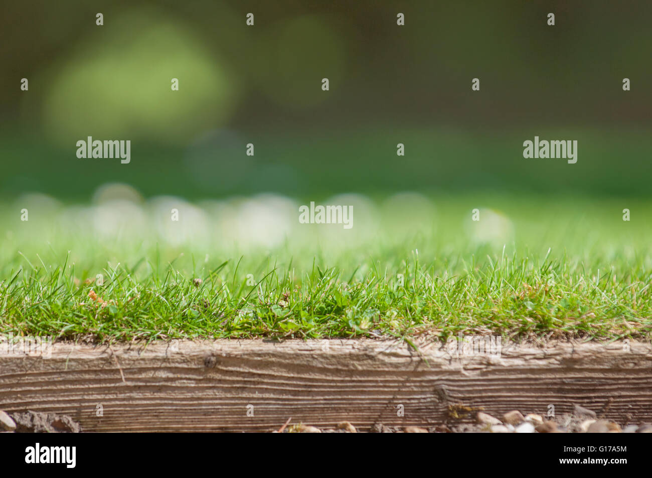 Lawn edge hi-res stock photography and images - Alamy