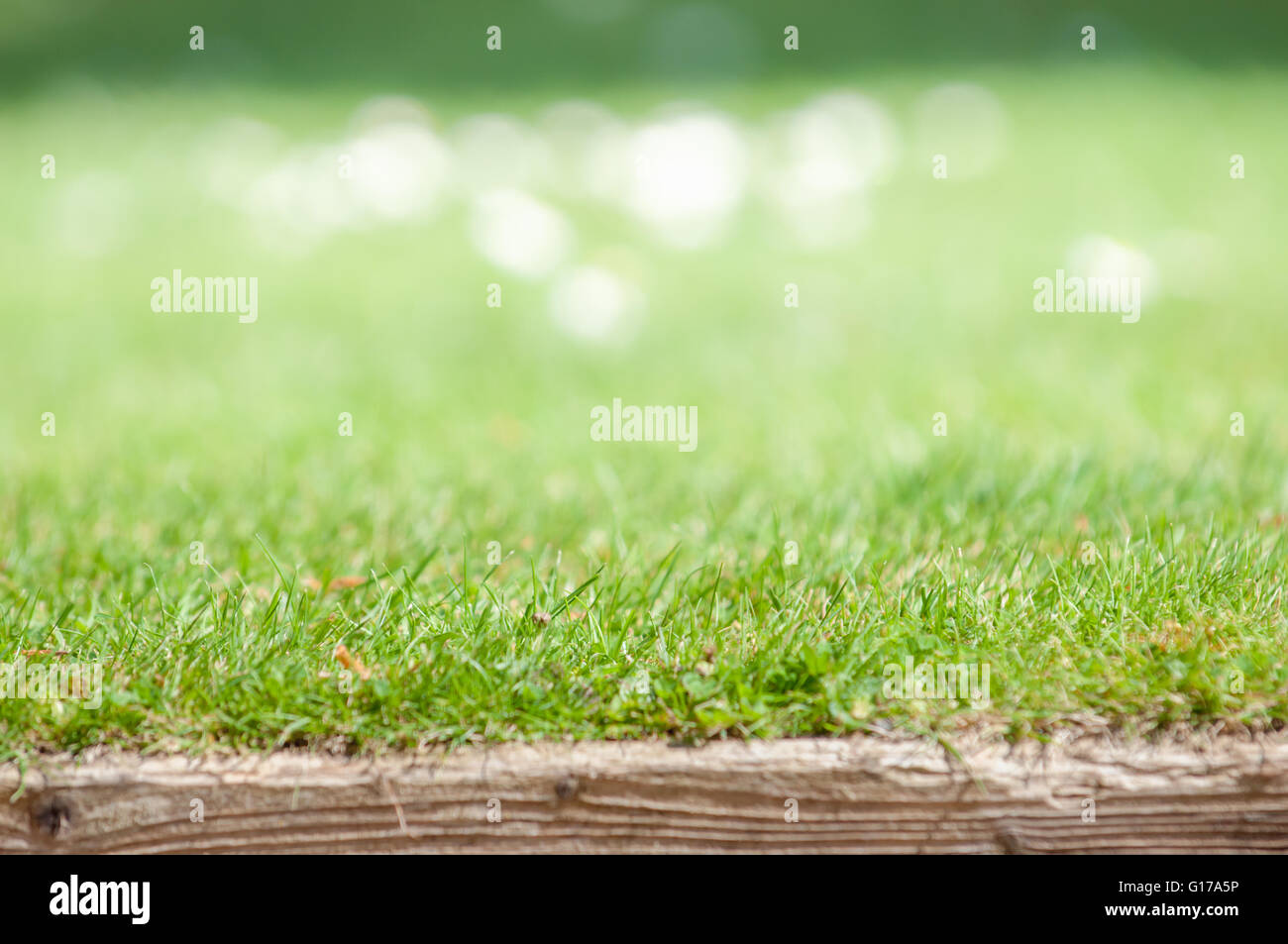 Edge of a neat lawn with blades of grass in foreground Stock Photo - Alamy
