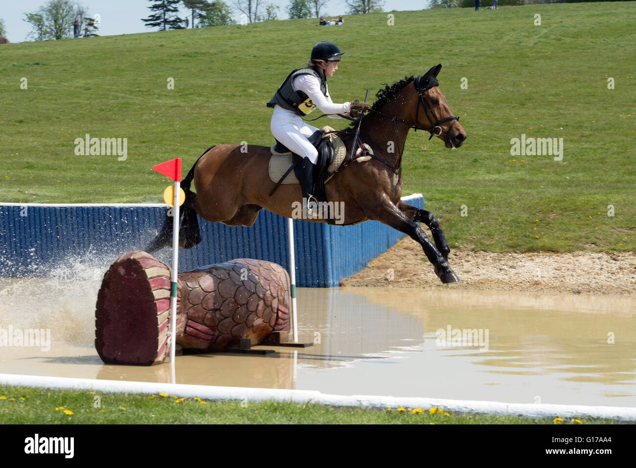 Water jump horse hi-res stock photography and images - Alamy