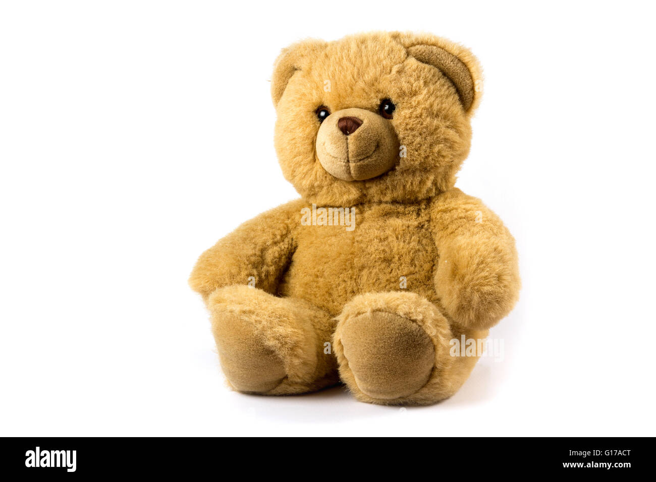 Soft plush toy isolated on white background Stock Photo - Alamy