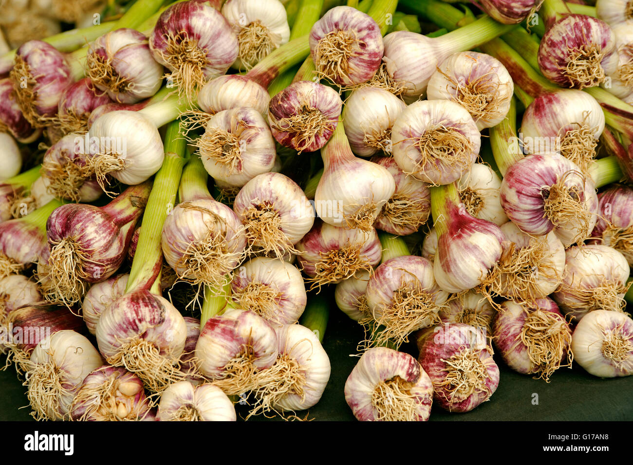 Indian fresh ingredients hi-res stock photography and images - Alamy