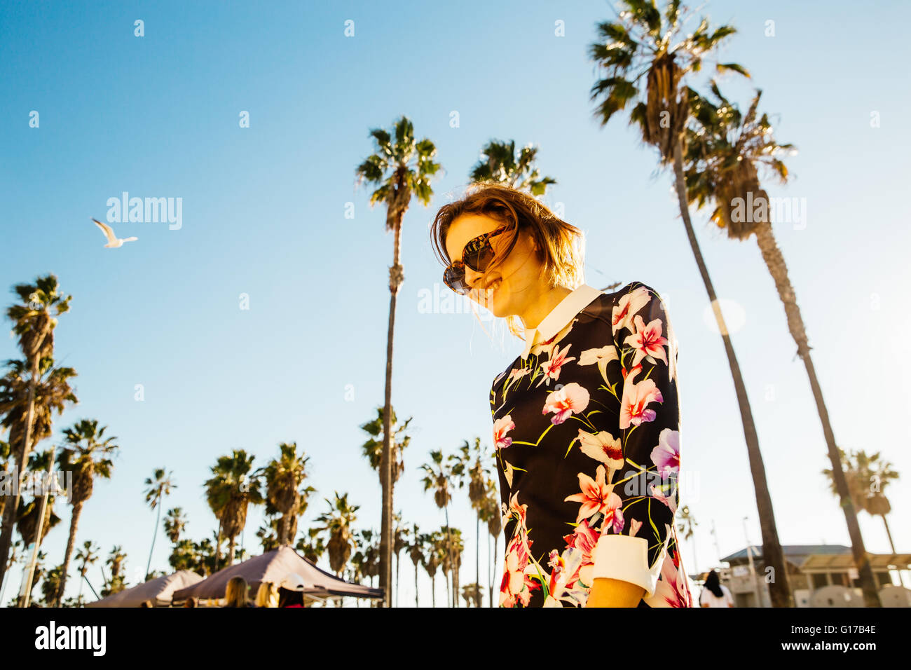 Walking palm hi-res stock photography and images - Alamy