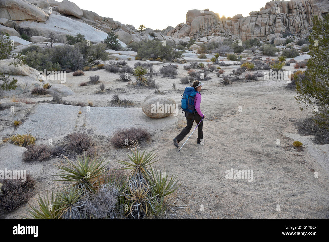 Hiker exploring Mojave Desert, Joshua Tree National Park, California ...
