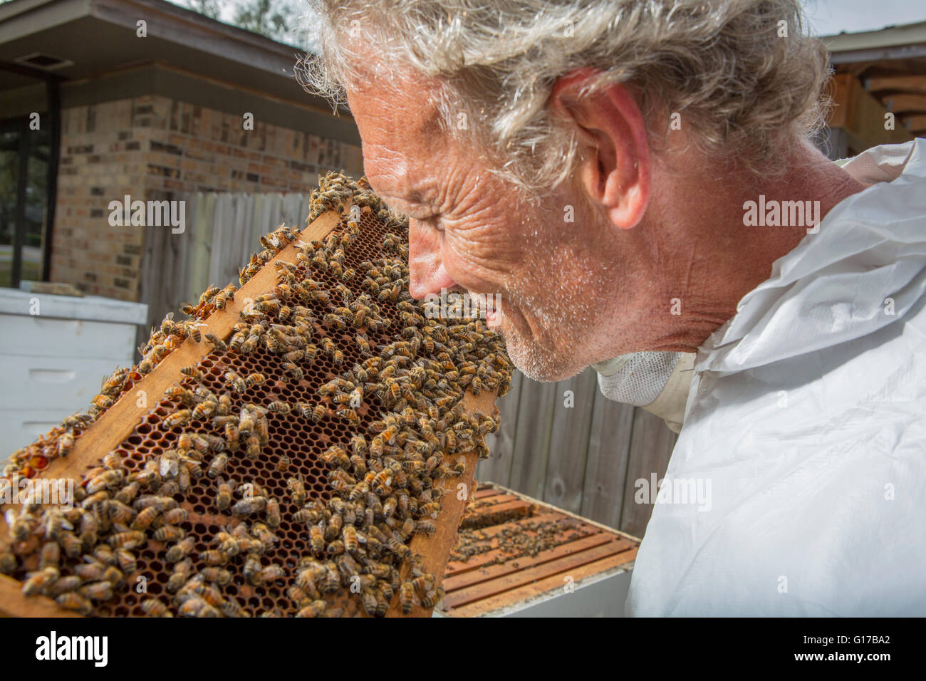 Male beekeeper holding hive hi-res stock photography and images - Alamy