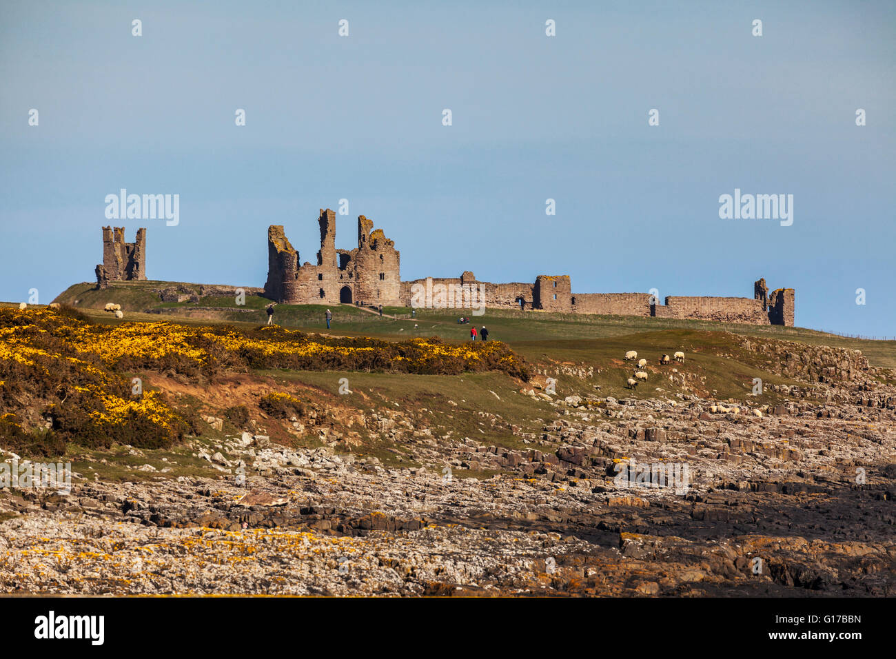 Dunstanburgh Castle Harbour High Resolution Stock Photography and ...