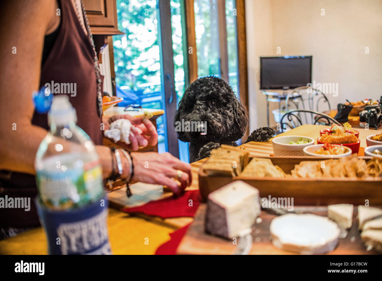 Legs woman kitchen hi-res stock photography and images - Alamy