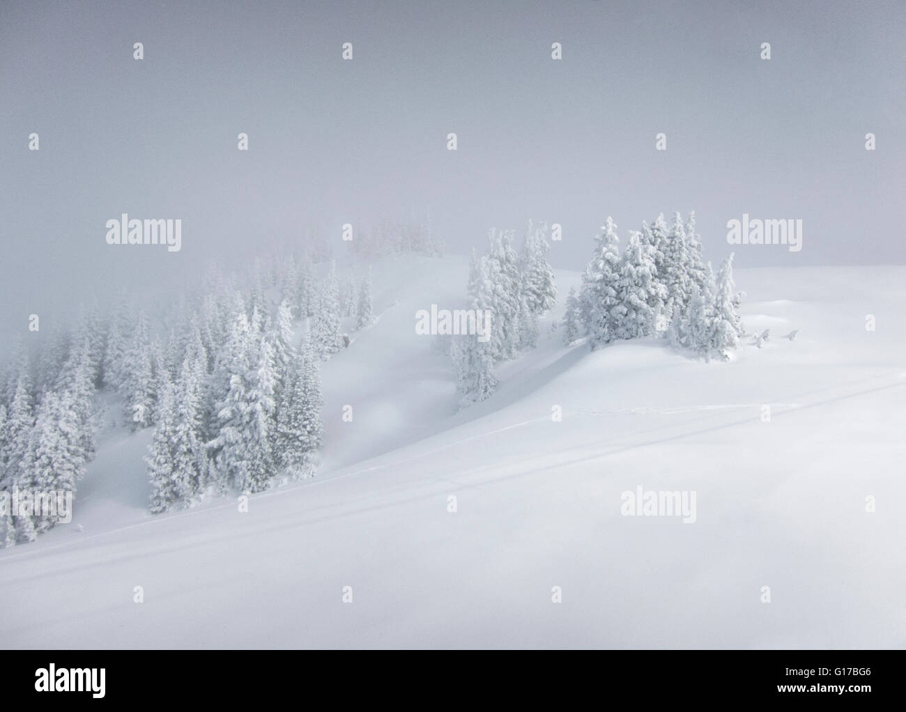 Snowy landscape, Utah, USA Stock Photo - Alamy
