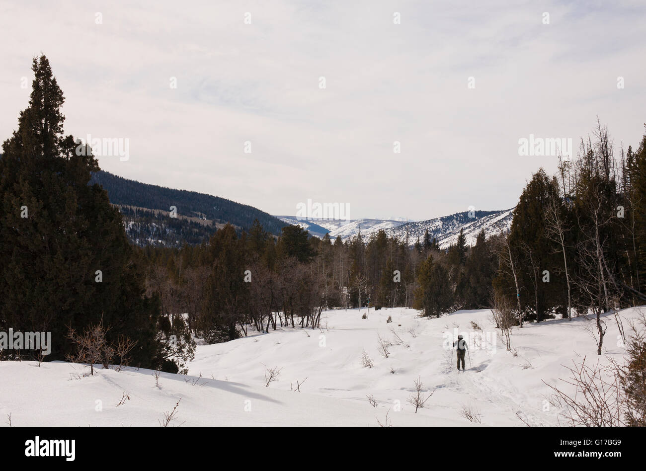 Female Cross Country Skiers High Resolution Stock Photography and ...