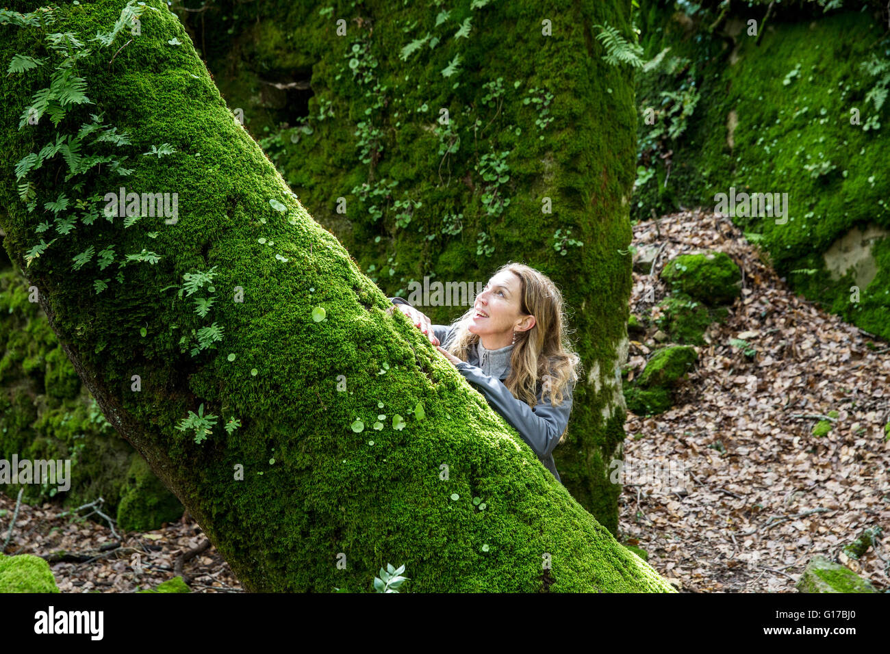 Gazing at tree hi-res stock photography and images - Alamy