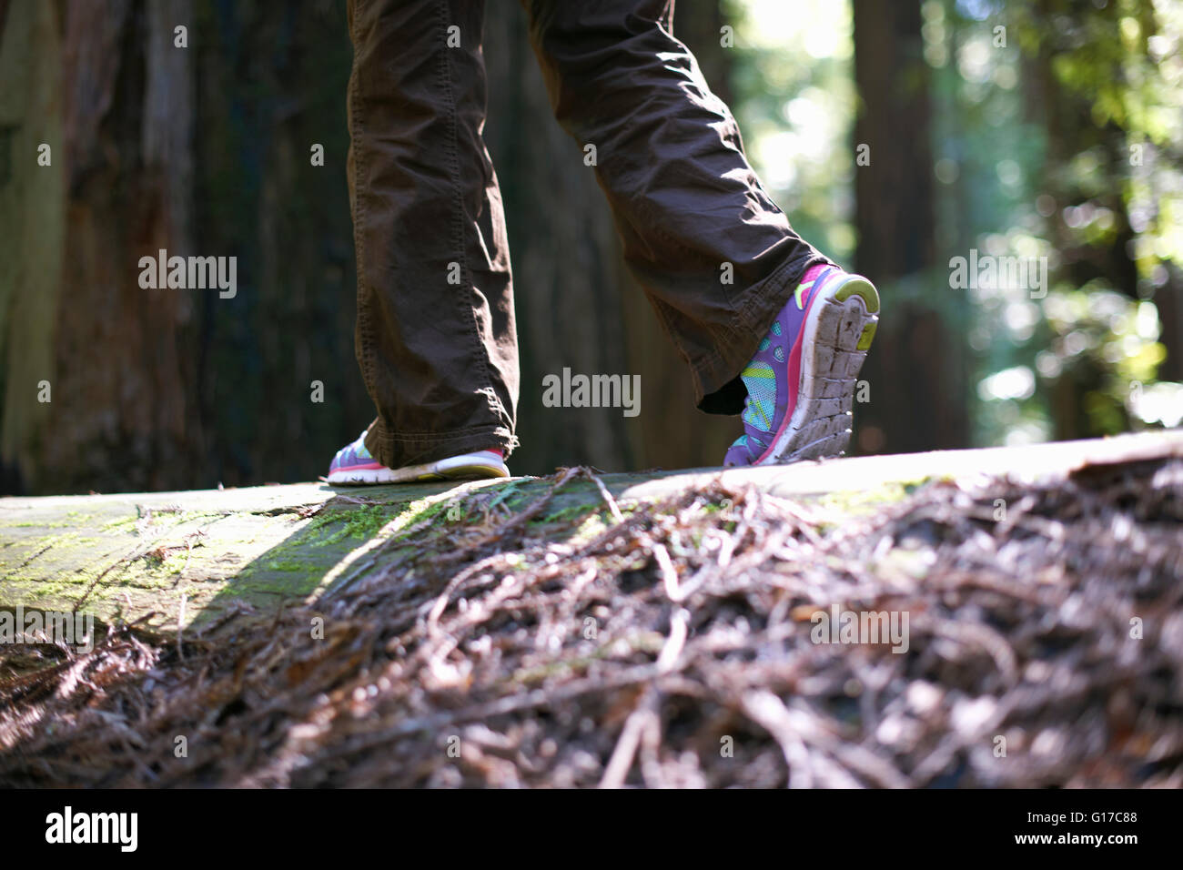 Person balance walking in forest Stock Photo - Alamy