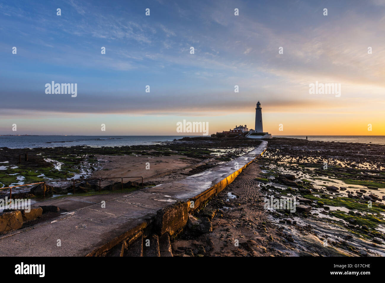 St.Mary's Lighthouse Just After Sunrise Stock Photo - Alamy