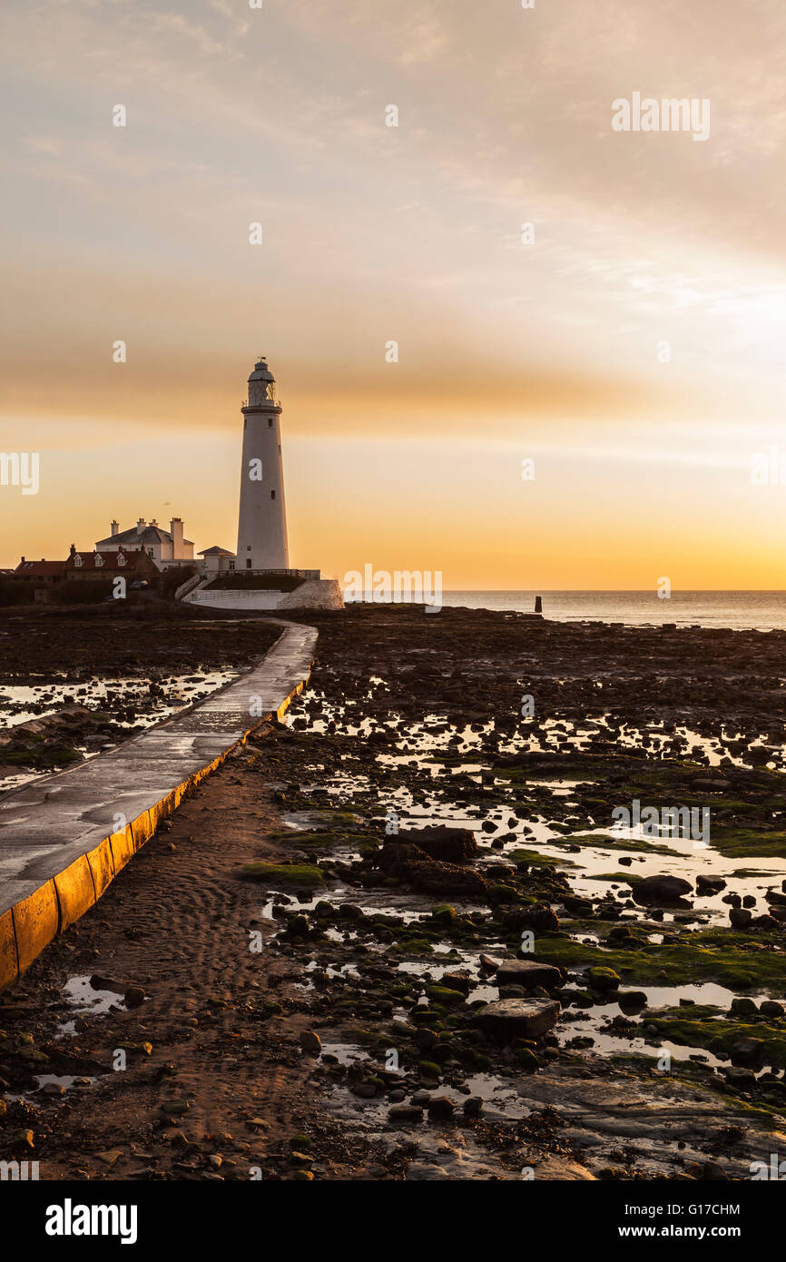 St.Mary's Lighthouse Just After Sunrise Stock Photo - Alamy