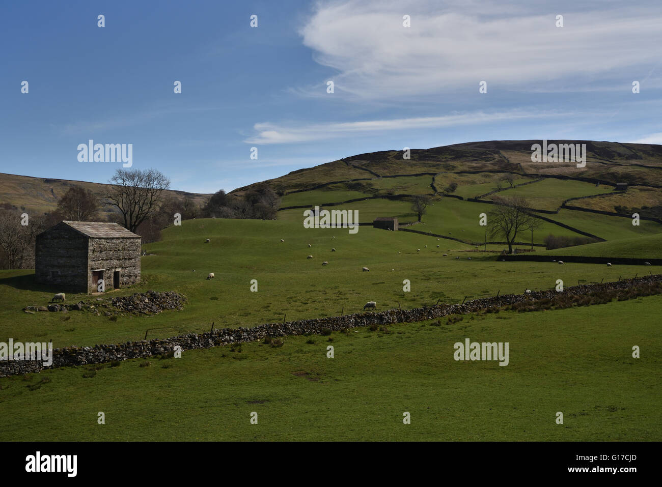 Keld, Swaledale, stone barns, landscape, Yorkshire Dales National Park ...