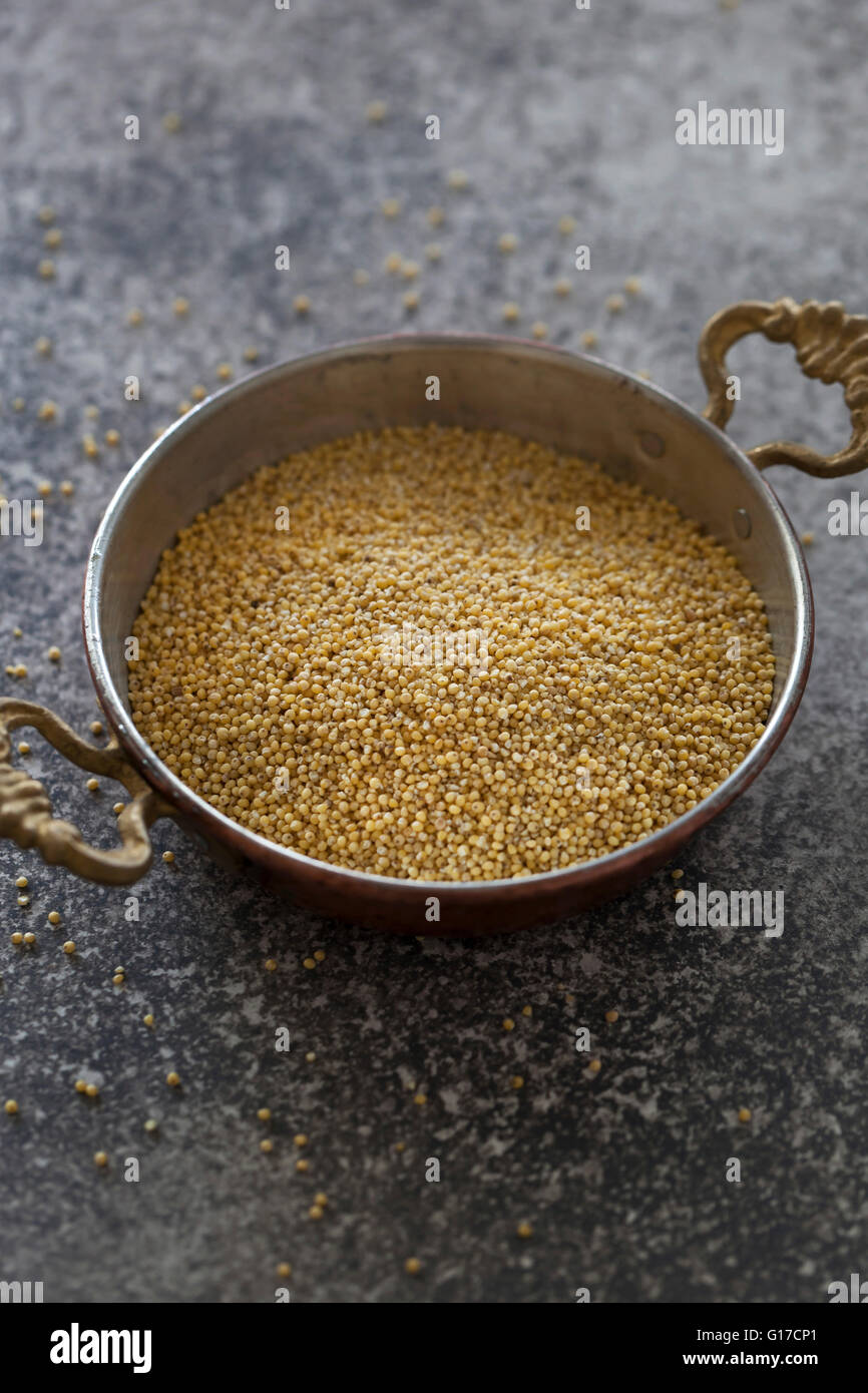 Pearl millet grain hi-res stock photography and images - Alamy