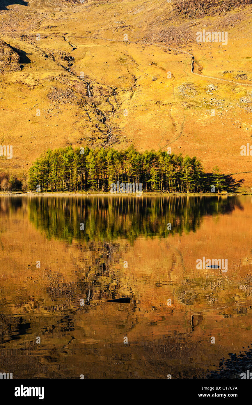 Comb Beck Running in to Buttermere from Comb Crags Illuminated by ...