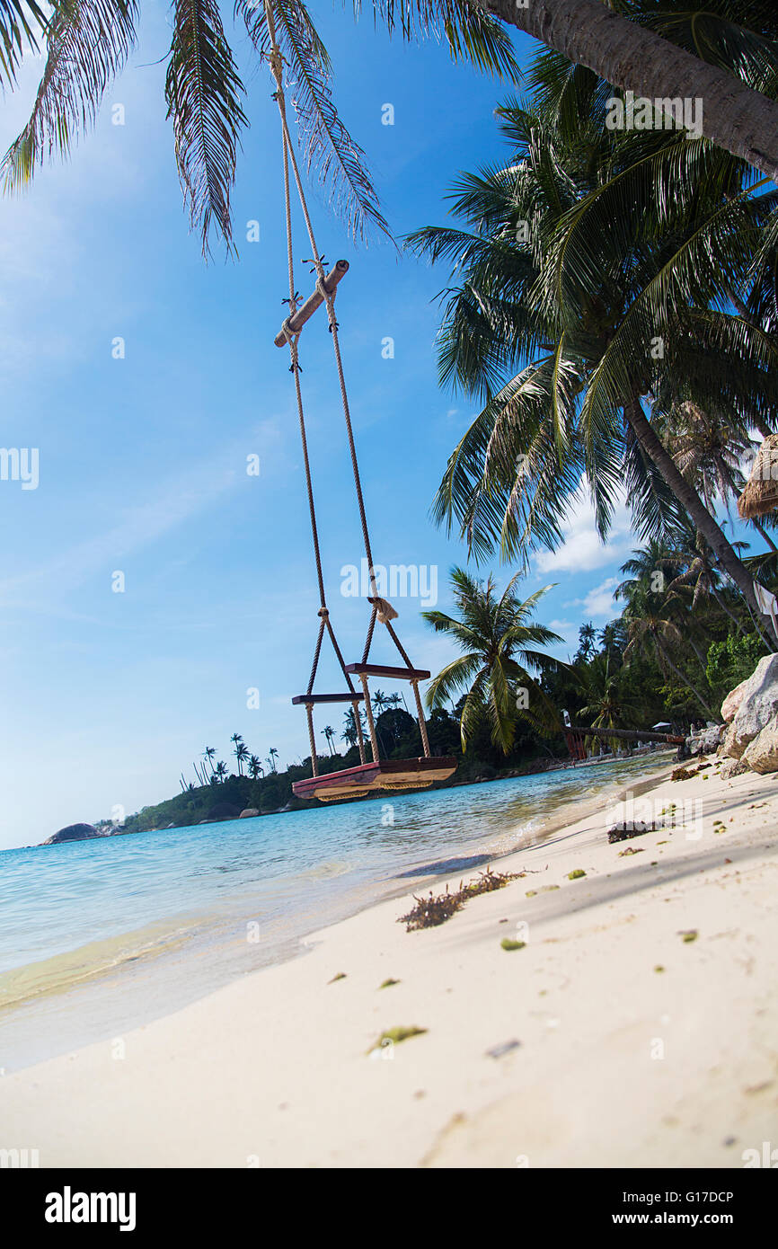 Swing hanging from the tree in Ko Pha Ngan in Thailand Stock Photo - Alamy