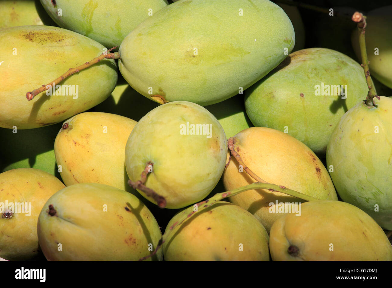 Five mangoes hi-res stock photography and images - Alamy