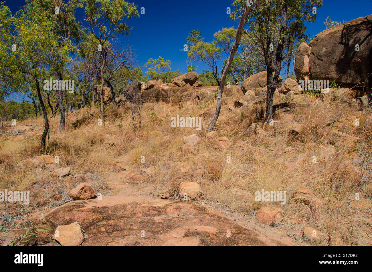 Hiking trail in the Undara Volcanic National Park, Australia Stock ...