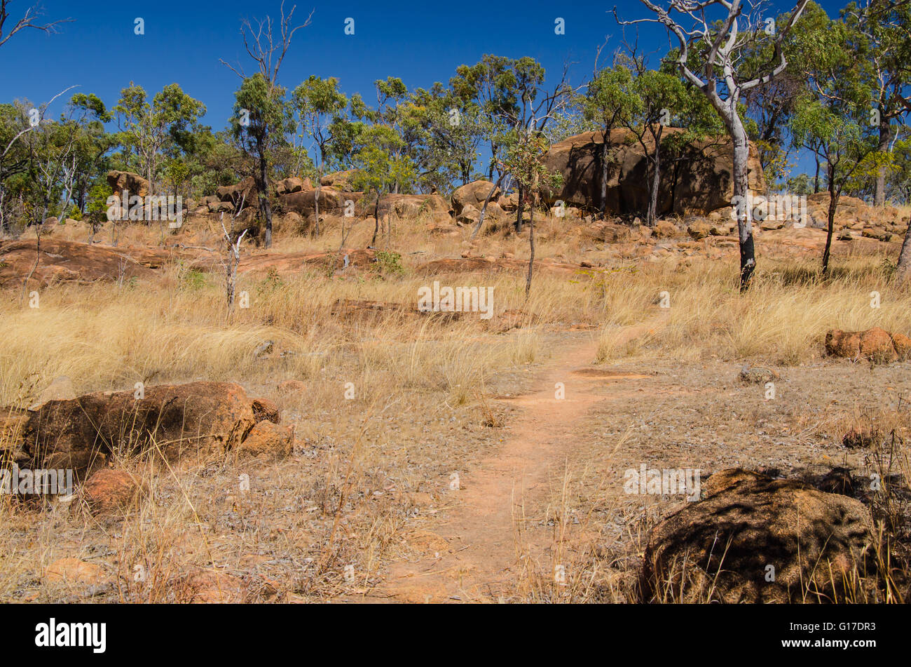Hiking in the outback, Undara Volcanic national Park, Australia Stock ...