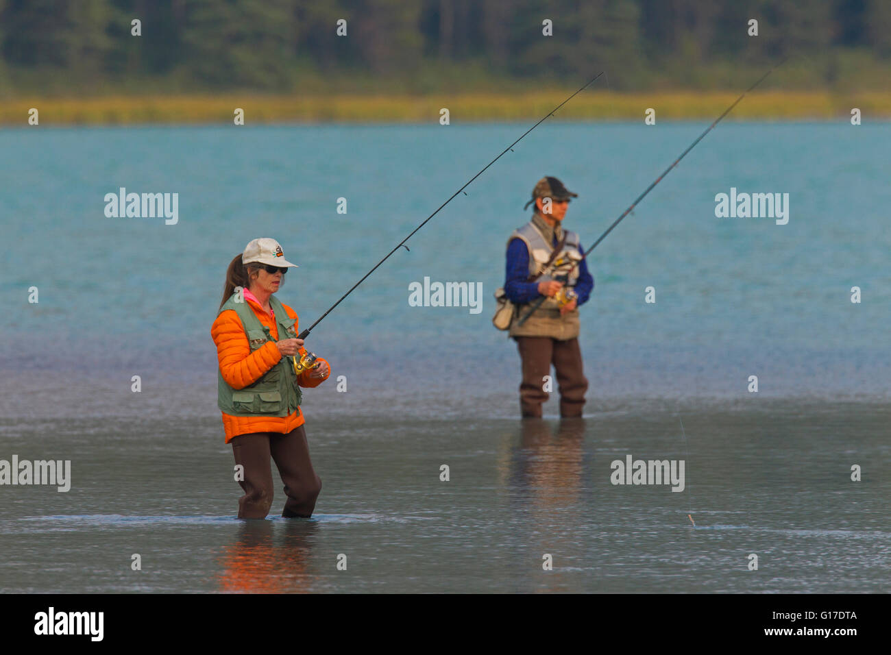 Couple of fly anglers fly fishing in lake, Alberta, Rocky Mountains ...
