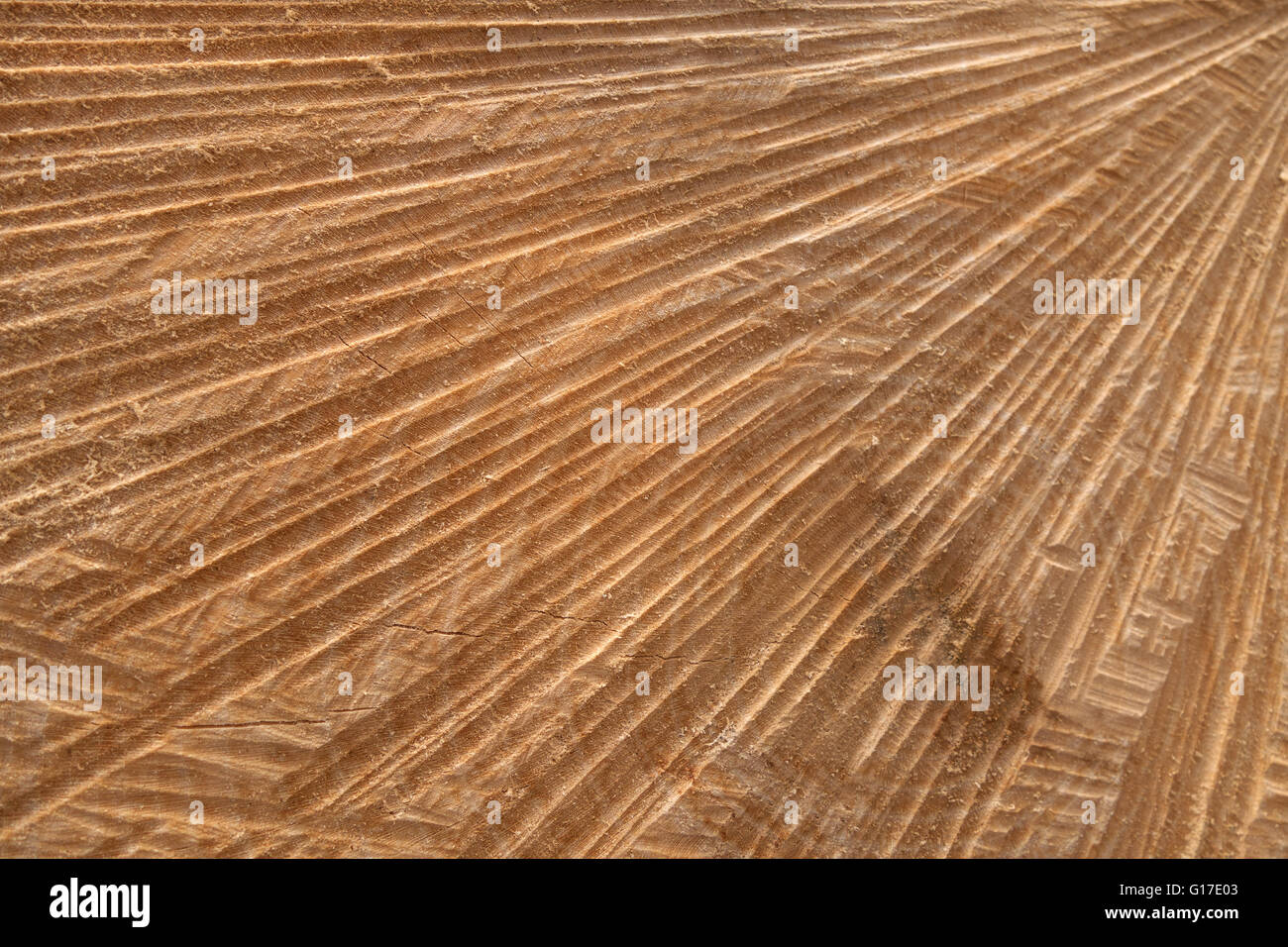 Abstract cut surface of a tree trunk Stock Photo - Alamy