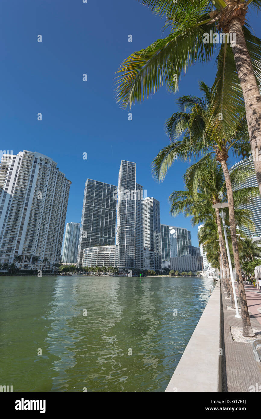 Miami Skyline Palm Trees 30,000+ Miami Skyline Pictures | Download