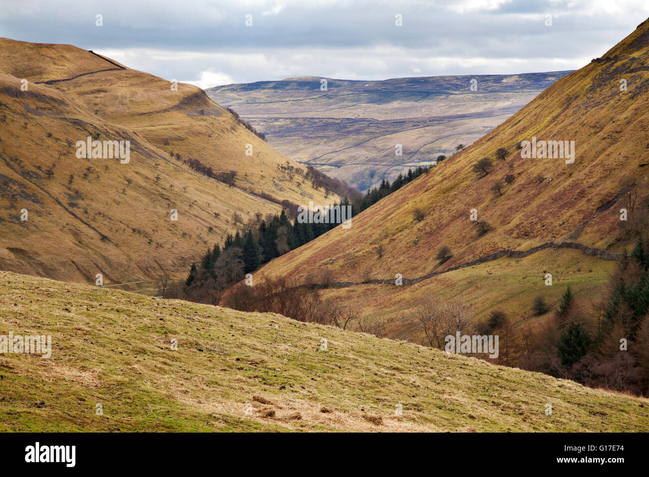 Valley from Keld to Muker, Swaledale, North Yorkshire Dales Stock Photo ...