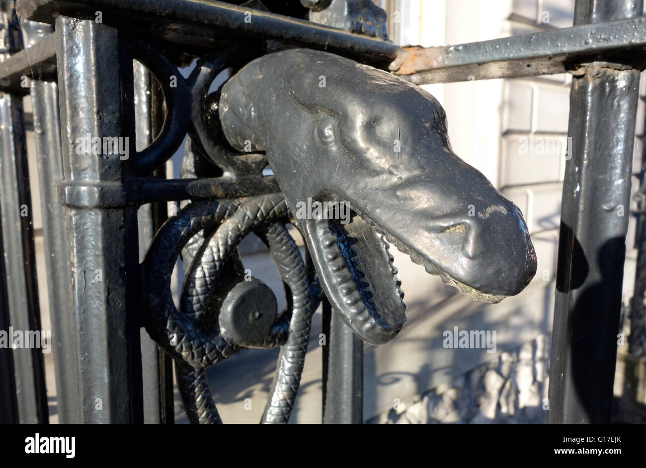 Snake Head Front High Resolution Stock Photography and Images - Alamy