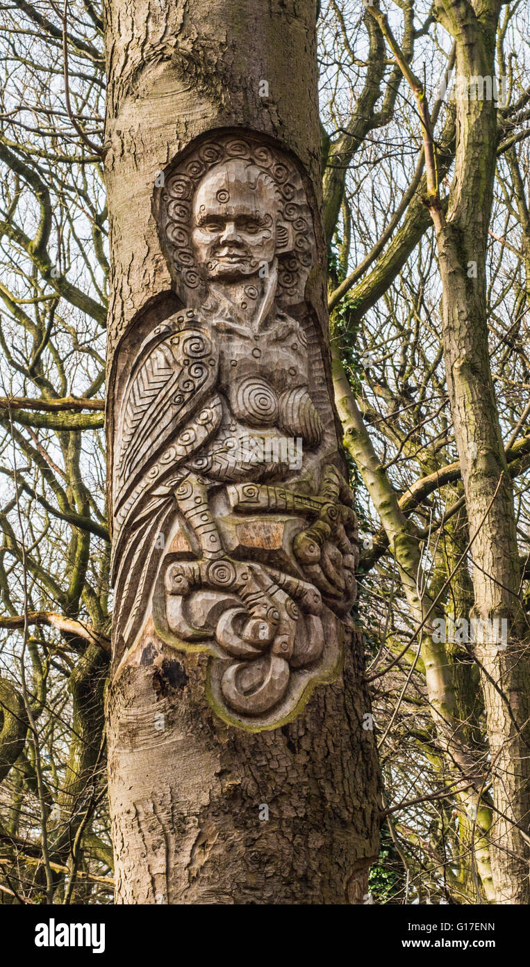 carving on the tree Yorkshire Sheffield England Ray Boswell Stock Photo ...