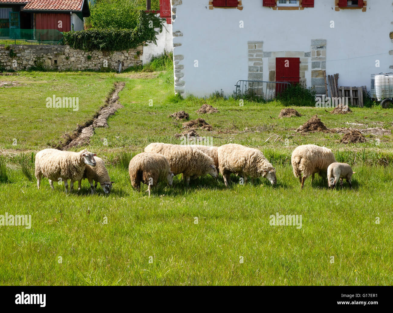 Basque architecture hi-res stock photography and images - Alamy