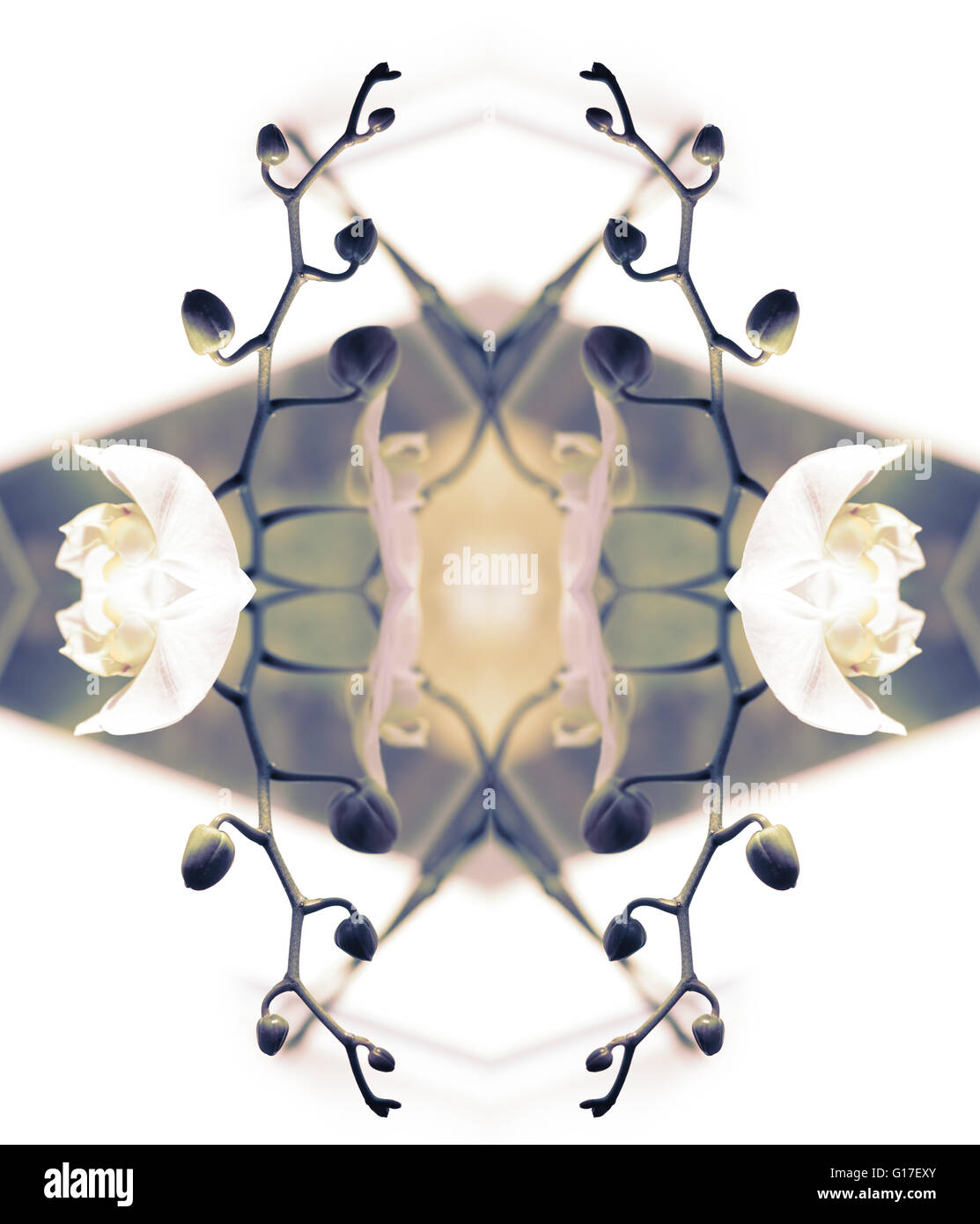 Graphical composition hi-res stock photography and images - Alamy