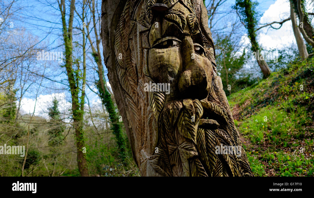 Face carved into tree, photographed in beautiful british woodland Stock ...