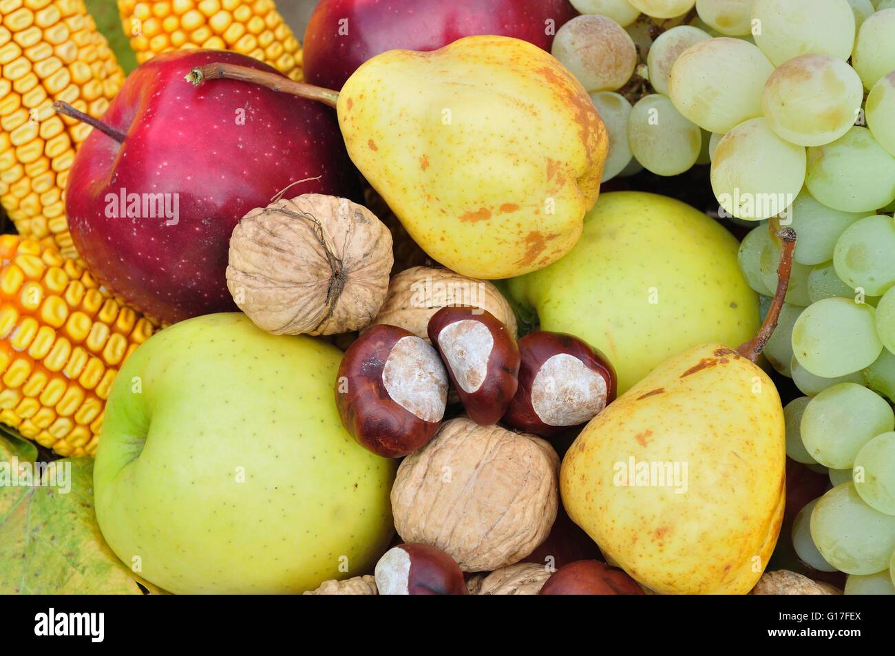 Detail of colorful autumn fruits and vegetables for natural background ...