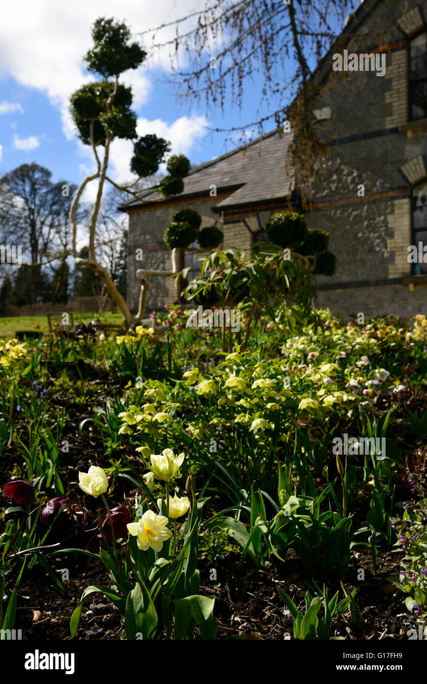 June blakes garden hi-res stock photography and images - Alamy