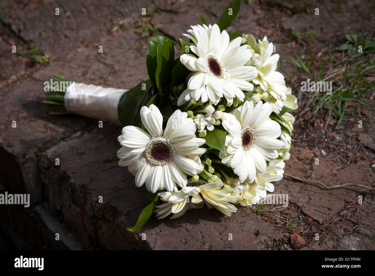 White Gerbera Daisy Bouquet