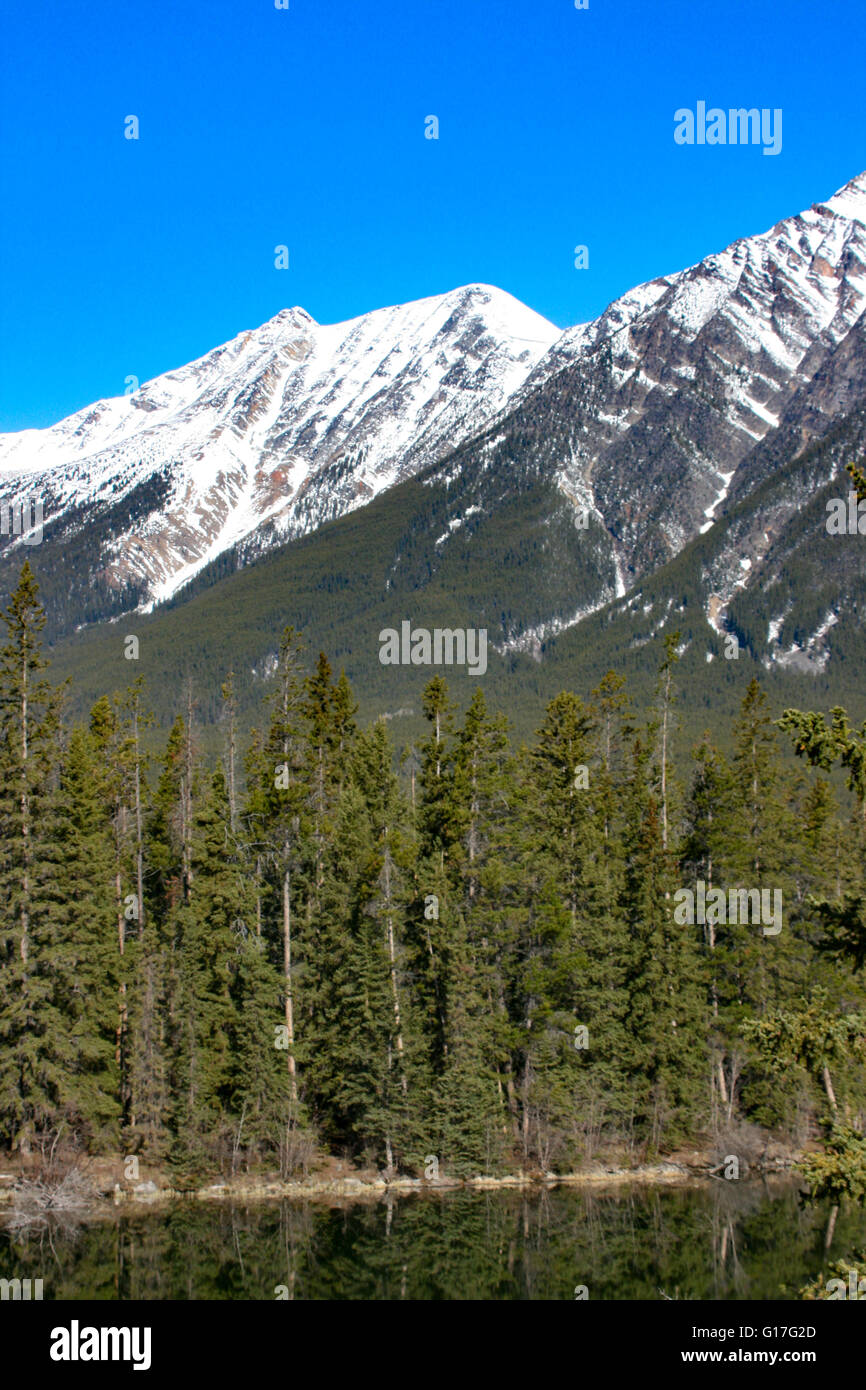 Ideal back drop or background, Canadian beauty in Alberta Canada ...