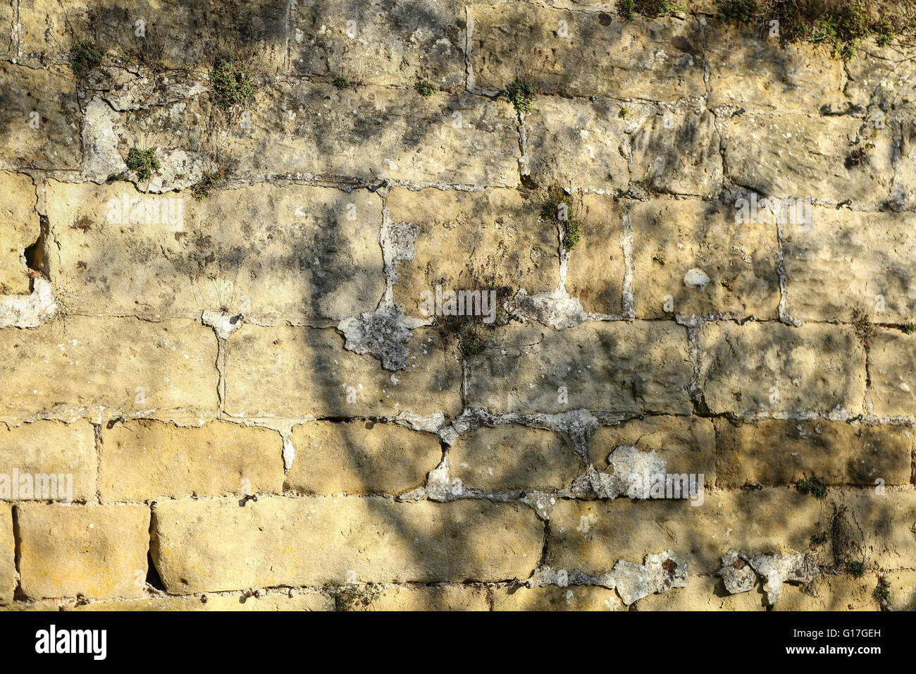 Old sandstone wall in a sunny day Stock Photo - Alamy