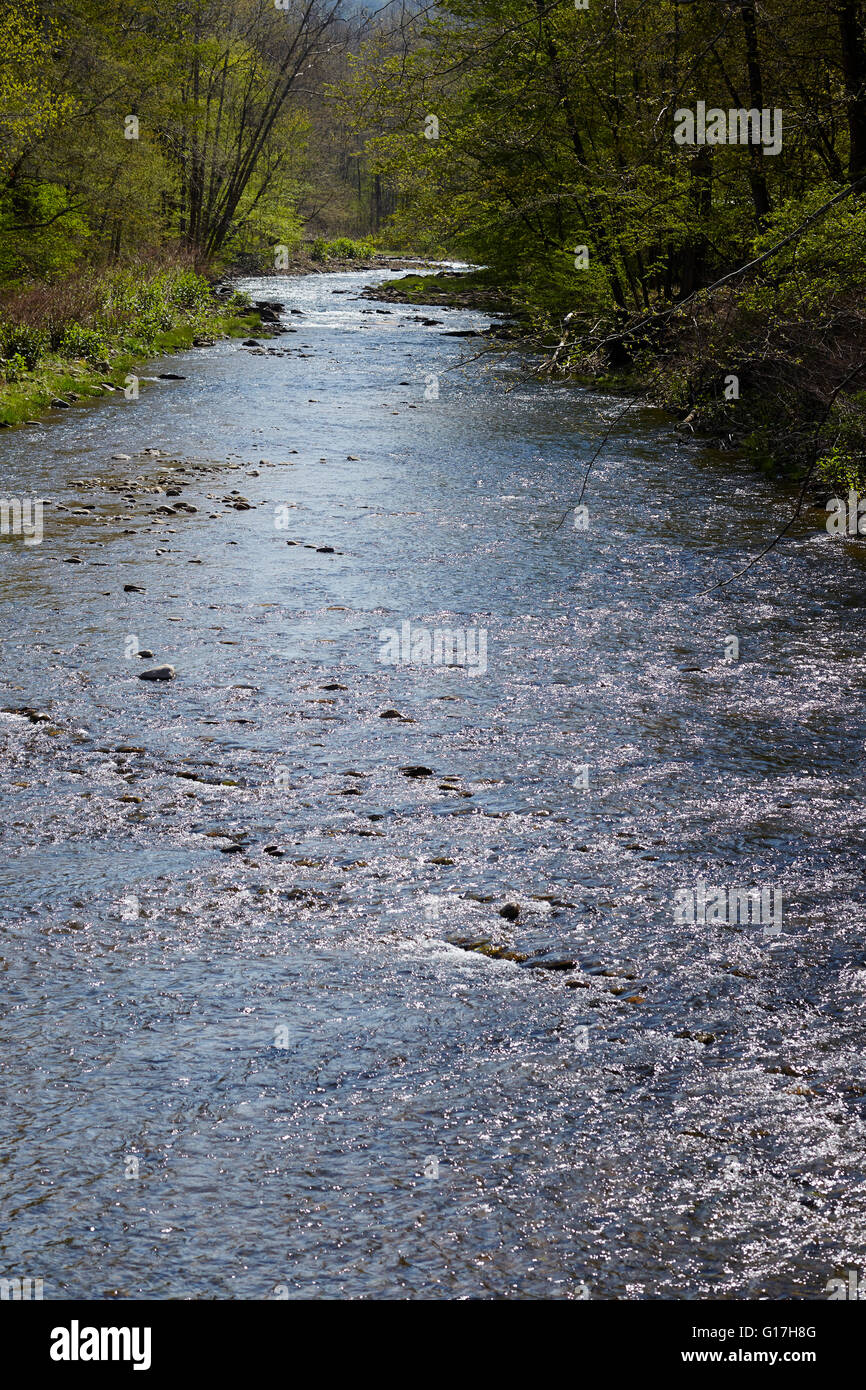 Loyalsock Creek in Springtime, Endless Mountains, Sullivan County ...