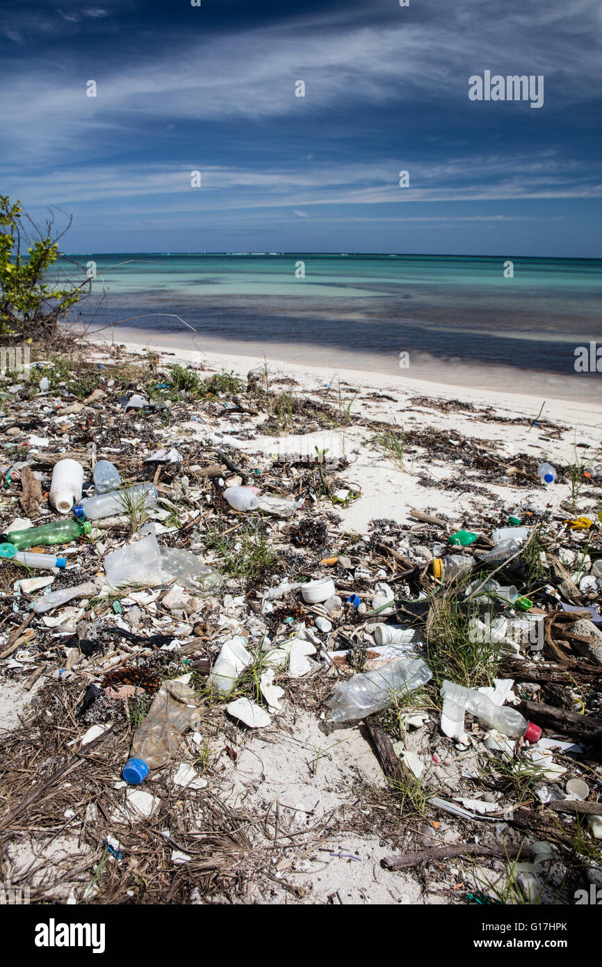 Plastic garbage washes up on a Caribbean beach. Plastics get into the ...