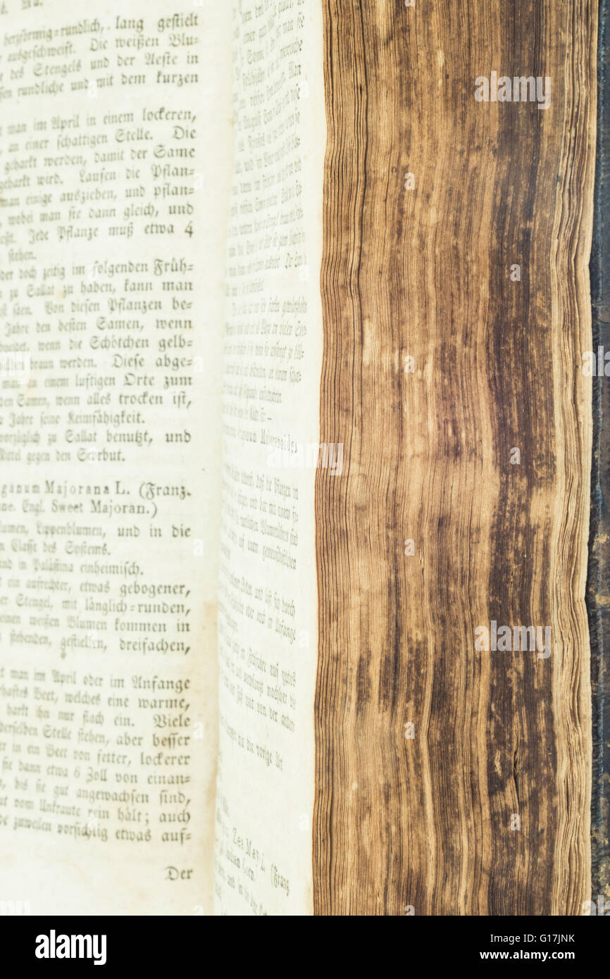 Detail of pages of old ancient german book with isolated white ...