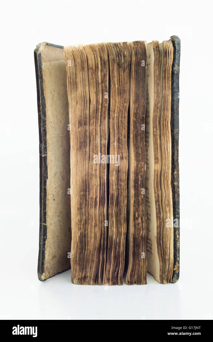 Detail of pages of old ancient book with isolated white background ...