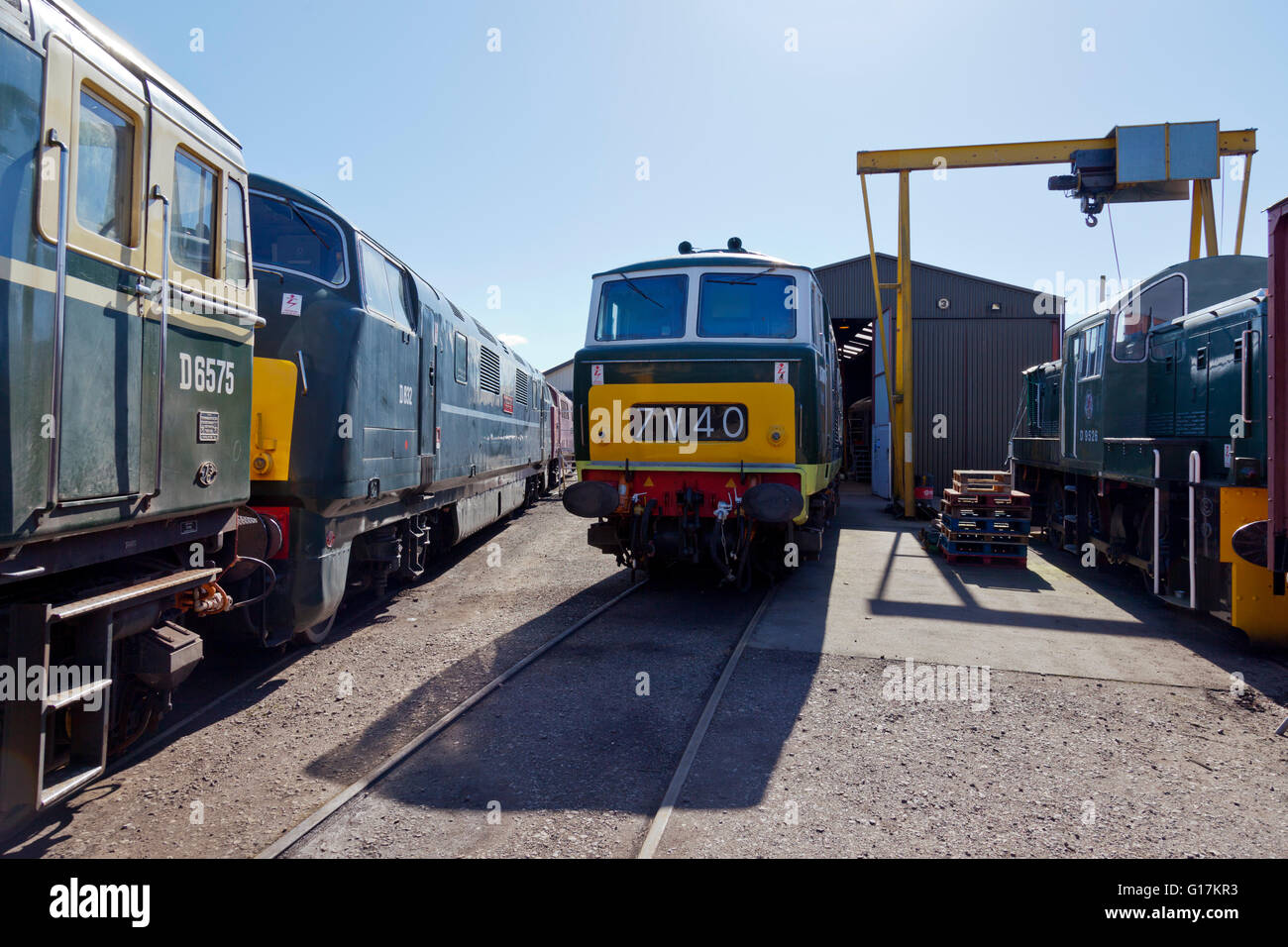 A collection of former BR diesel locos in the shed yard at Williton ...