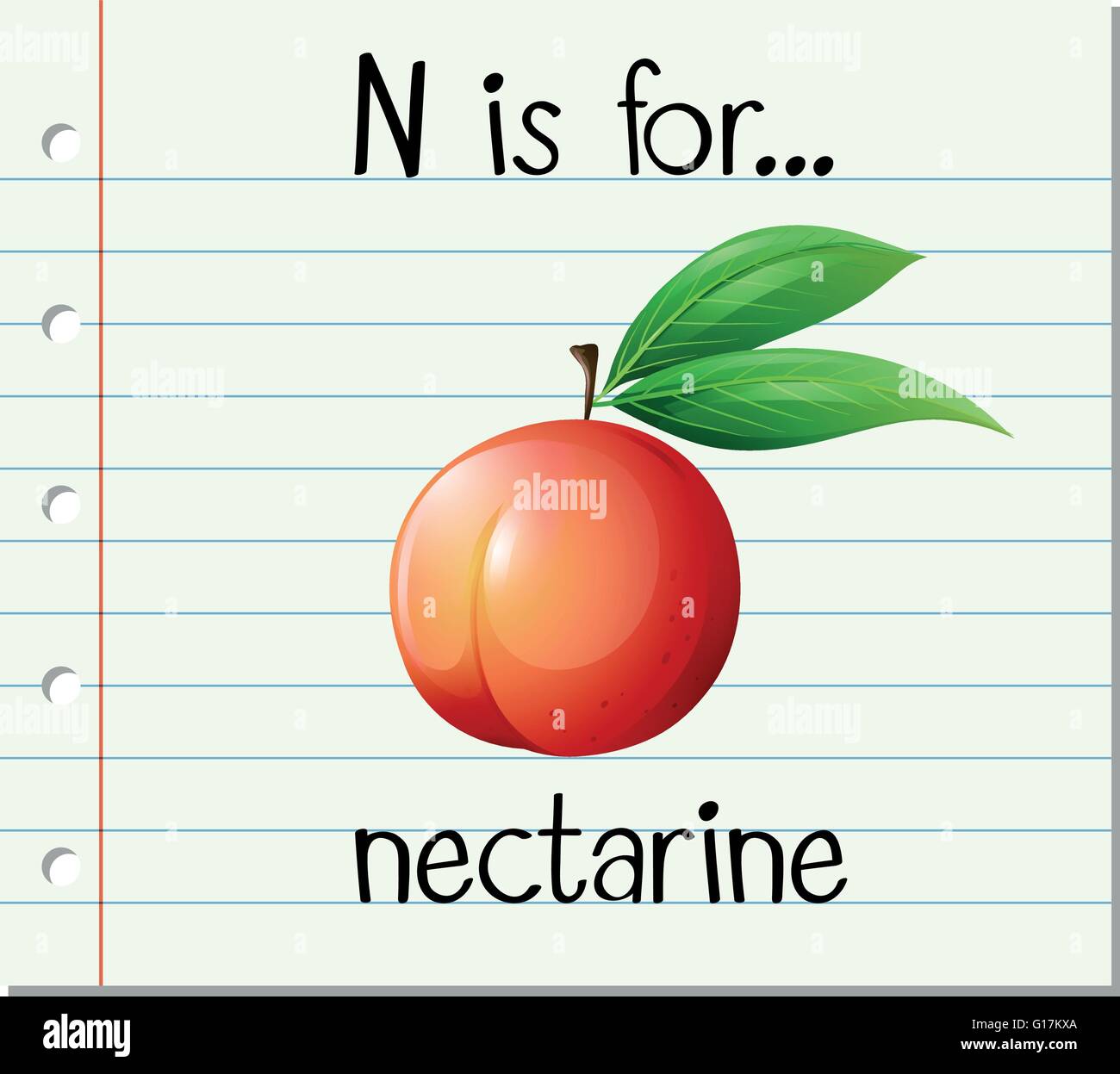 Nectarine Stock Vector Images - Alamy