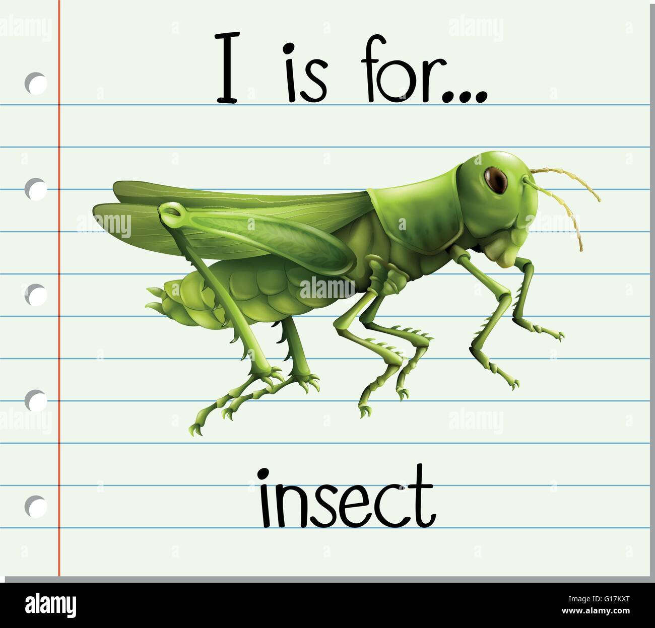 Flashcard letter I is for insect illustration Stock Vector Image & Art ...