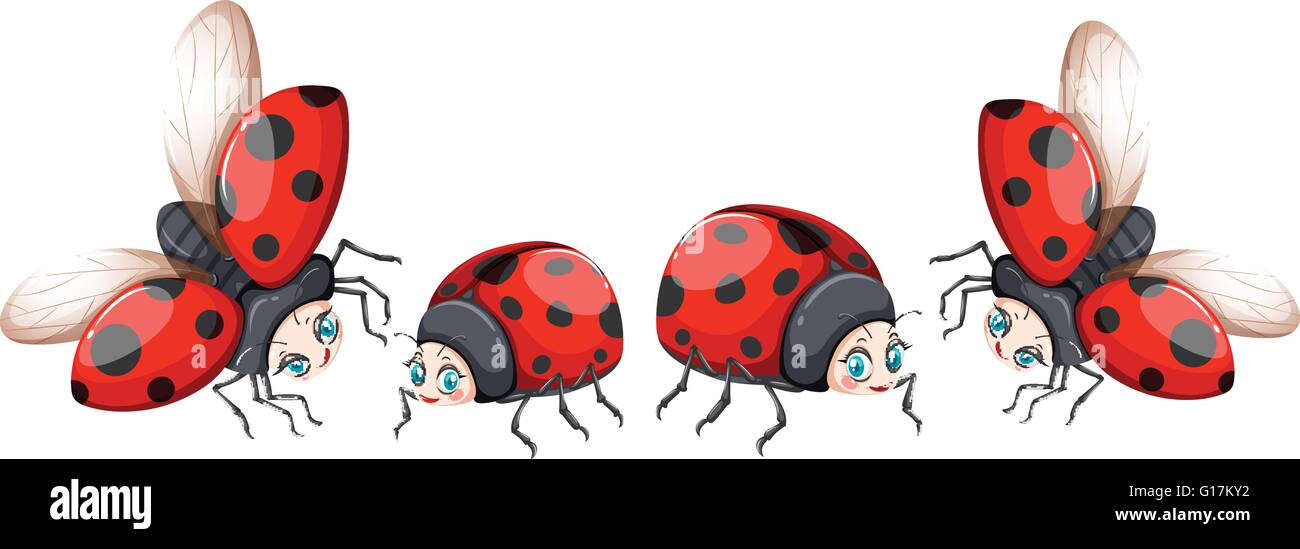 Ladybugs Four High Resolution Stock Photography and Images - Alamy