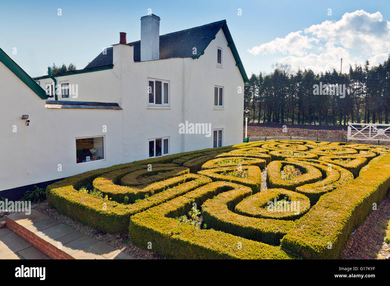 A box hedge 'knot' garden alongside Willtion station on the West ...