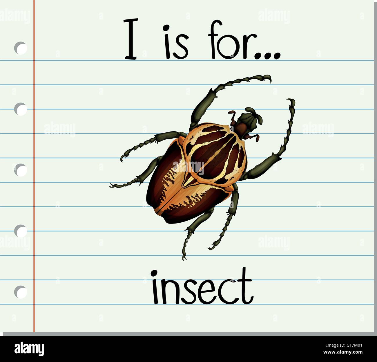 Flashcard letter I is for insect illustration Stock Vector Image & Art ...
