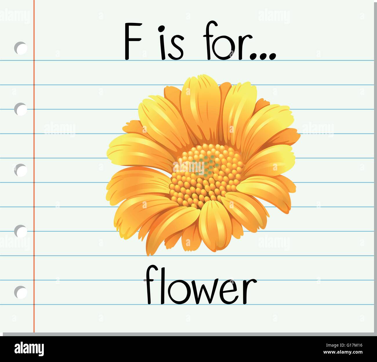 Flashcard letter F is for flower illustration Stock Vector Image & Art ...